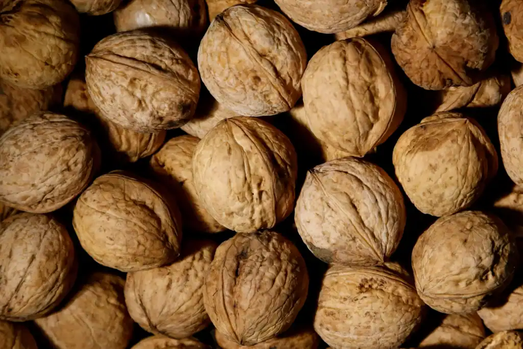🌰 Health Benefits of Walnuts: Everything You Need to Know